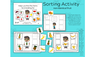 Sorting Activity: Around the Home - Non-Identical items by Teach Simple