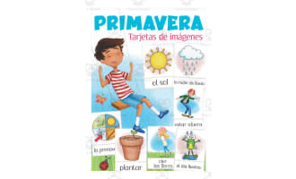 Spanish: Hobbies Flash Cards by Teach Simple