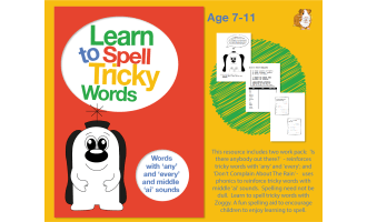 Spell Tricky Words with 'any' and 'every' And Middle ‘ai’ Sounds - Part ...
