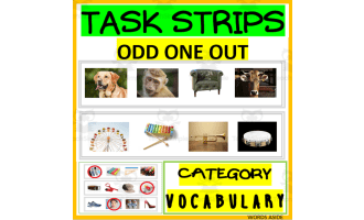 TASK STRIPS: RELATED NOUNS VOCABULARY | ODD ONE OUT CARDS by Teach Simple