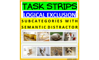 TASK STRIPS| WHAT IS INSIDE OF| VOCABULARY REASONING CARDS by Teach Simple