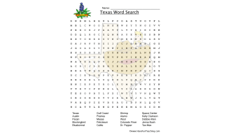 Texas Worksheet by Teach Simple