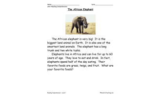 Eric the Elephant - Reading Comprehension Worksheet by Teach Simple