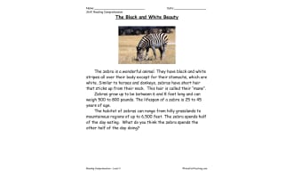 Black and White - Reading Comprehension Worksheet by Teach Simple