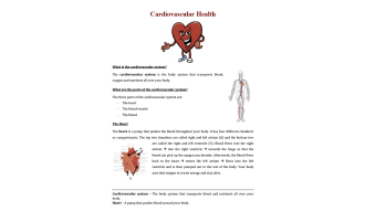 The Immune System Reading Comprehension Article by Teach Simple