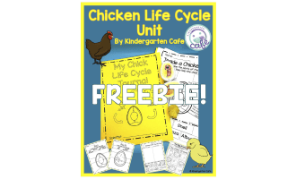 Our Hatching Calendar: The Life Cycle of a Baby Chick by Teach Simple
