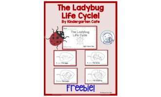 Ladybug Life Cycle Bundle | Emergent Readers by Teach Simple