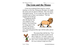 Lester and the Toy Mouse Reading Comprehension Worksheet by Teach Simple