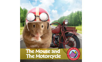 Lester and the Toy Mouse Reading Comprehension Worksheet by Teach Simple