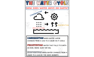Water Cycle Experiment Worksheet by Teach Simple