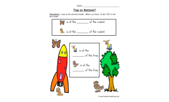Identifying Top or Bottom Worksheet by Teach Simple