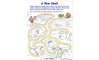 Treasure Hunt Directions Activity Board Game by Teach Simple