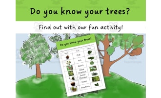 Blossom Tree Craft by Teach Simple