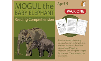 Fuchsias Are Beautiful: Practise Close Reading Comprehension Skills (6 ...