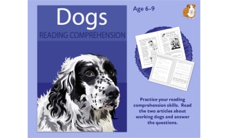 Mogul The Baby Elephant (2) Practise Close Reading Comprehension (6-9 ...