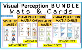Visual Perception BUNDLE by Teach Simple