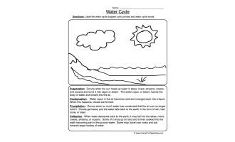 Water Cycle Experiment Worksheet by Teach Simple