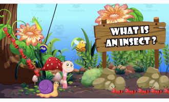 Insect Habitats | Animated Insect Video Lesson by Teach Simple