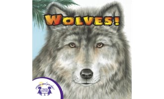 Wolves Know-It-Alls! Audio Book by Teach Simple