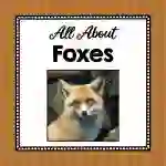 Animal Science Unit | All About Foxes | Learning about Animals | Fox by ...
