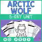 Arctic Wolf Unit Study (Arctic Animals Lesson Plan, Videos, Activities ...