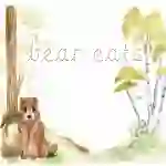 Bear Life Cycle Educational Poster by Teach Simple
