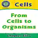 Cells: From Cells to Organisms by Teach Simple