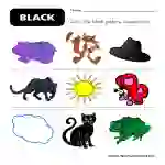 Circling Examples of Black Worksheet by Teach Simple