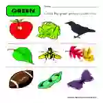 Circling Examples of Green Worksheet by Teach Simple