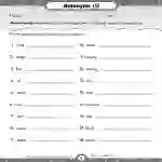 Compounds, Contractions, Synonyms, Homonyms, Antonyms, Prefixes, and ...