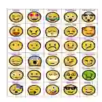 Emoji Bingo Cards by Teach Simple