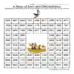 Even Number Maze Worksheet - Birds by Teach Simple