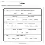 Fill in the Blank Nouns Worksheet by Teach Simple