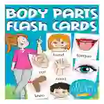 Flash Cards: Body Parts by Teach Simple
