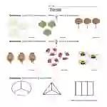 Fractions Third Worksheet by Teach Simple
