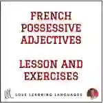 French Possessive Adjectives Lesson + Exercises - Adjectifs Possessifs ...