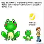 Frog Life Cycle Adapted Book Slide Deck for Special Ed by Teach Simple
