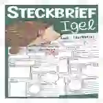 German: Animal Characteristics Worksheet - Hedgehog Printable by Teach ...