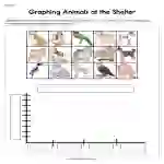 Graphing Animals at the Shelter Worksheet by Teach Simple