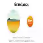 Grasslands Reading Comprehension Digital Worksheet by Teach Simple