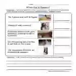 Historical Events Order of Events Worksheet by Teach Simple