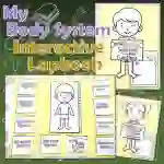 Human Body System and Some Main Organs Lapbook by Teach Simple