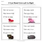 I Can Read From Left to Right Worksheet by Teach Simple