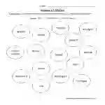 Identifying States of Matter Worksheet by Teach Simple