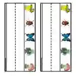 Insects Desk Name Tags by Teach Simple