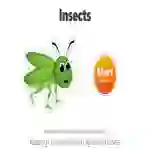 Insects Reading Comprehension Digital Worksheet by Teach Simple