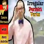 Irregular Verbs of the Perfekt Tense in German by Teach Simple
