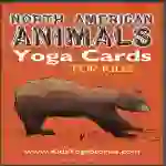 Kids Yoga Stories: Yoga Cards for Kids - North American Animals ...