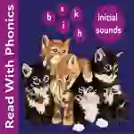 Learn The Initial Phonic Sounds 's, i, k, h, b' by Teach Simple