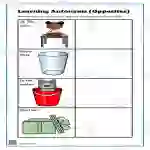 Learning Antonyms Worksheet by Teach Simple